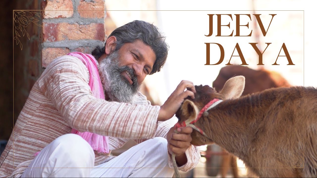 A Sacred Gowshala: Living the Path of Jeev Daya Through Service # ...