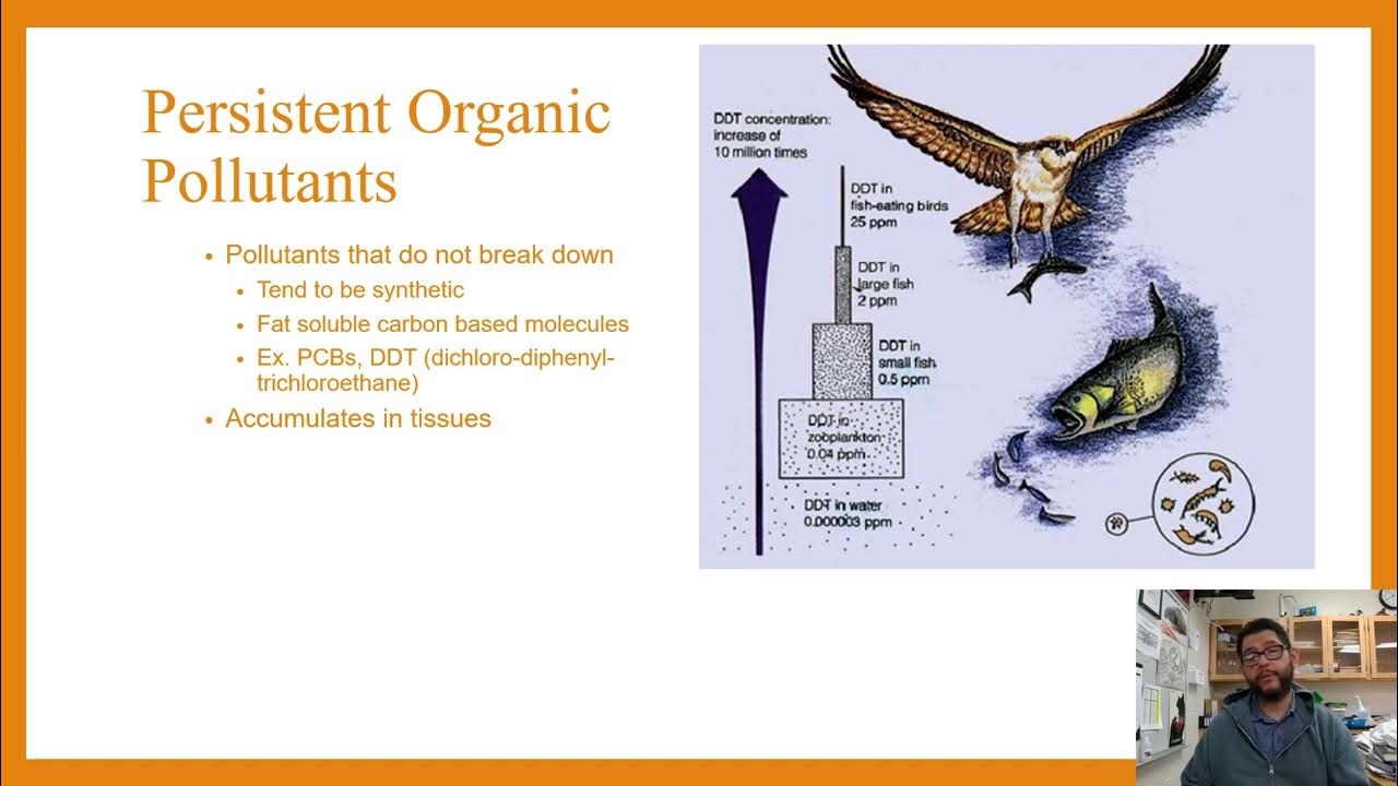 Unit 8, Topic 7, Persistent Organic Pollutants (POPs) - YouTube