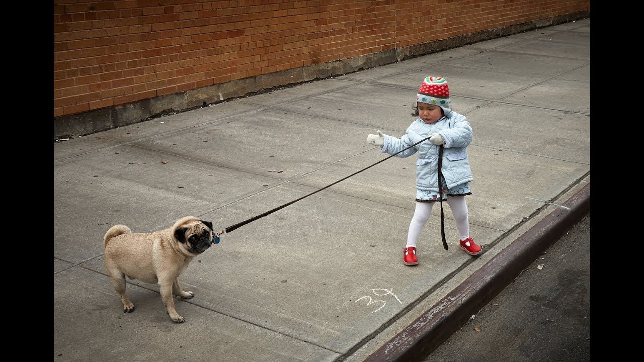 This is how it looks in real life funny - YouTube