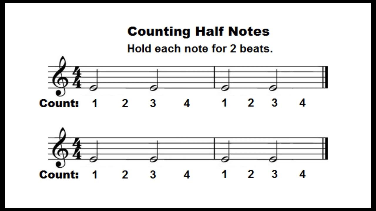 The Half Note or Minim (Music Theory For Beginners) - YouTube