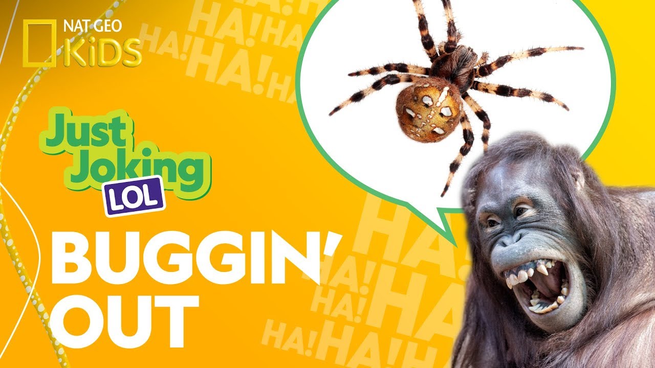 Buggin' Out | Just Joking—LOL - YouTube