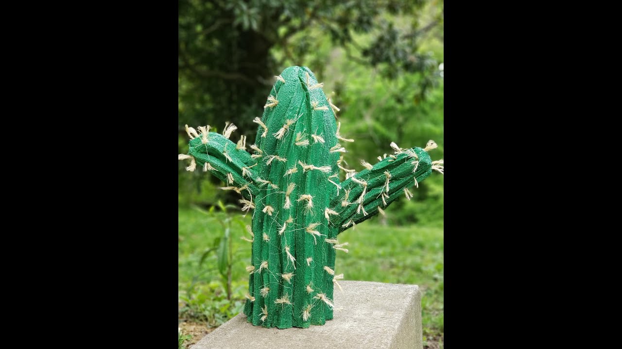 Prop it up! Cactus Edition - YouTube