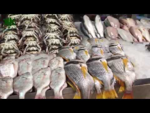 Kuveyt gezisi - Kuveyt Balık Pazarı - Kuwait Fish Market