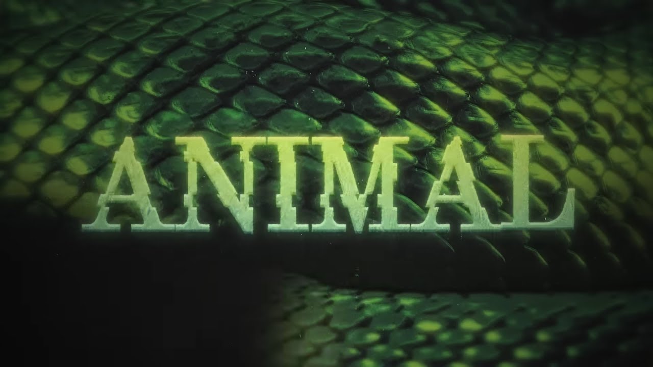 R3HAB, Jason Derulo - Animal - YouTube