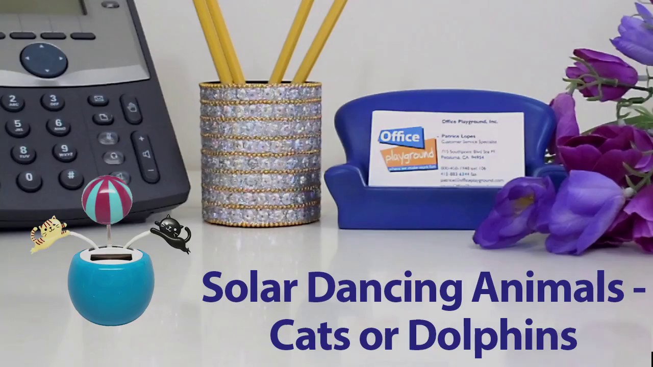 Solar Dancing Animals - Cats or Dolphins - YouTube