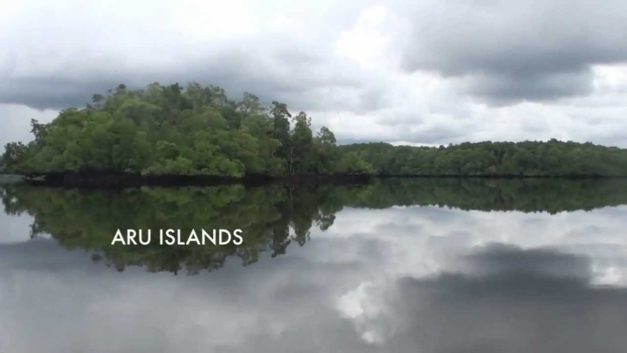 Aru Islands - YouTube