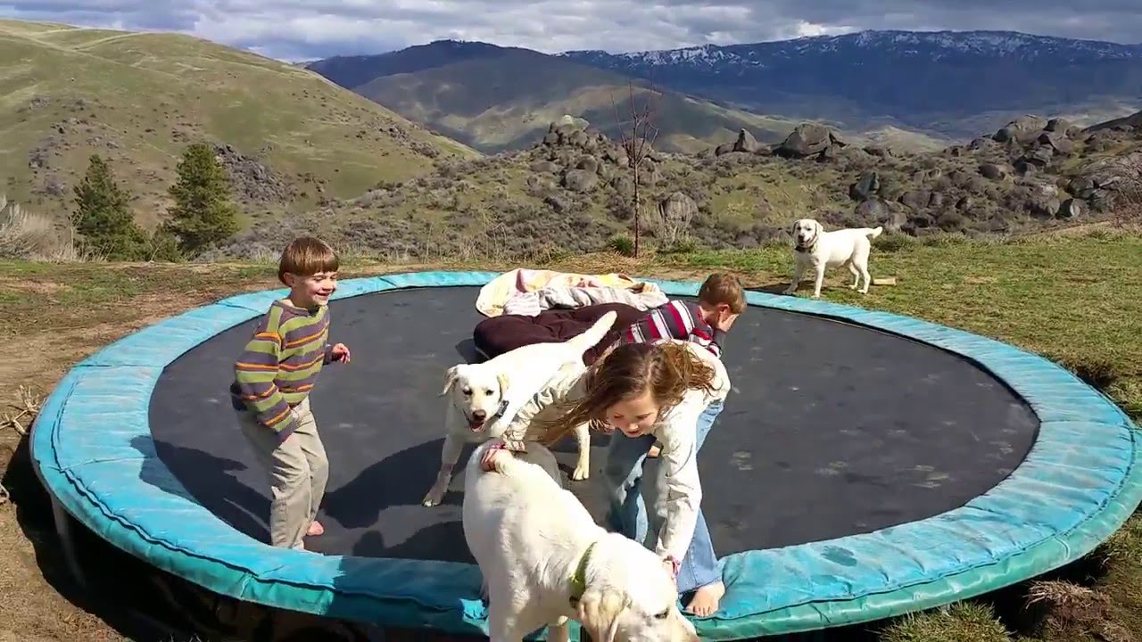 English Labs and Kids - YouTube