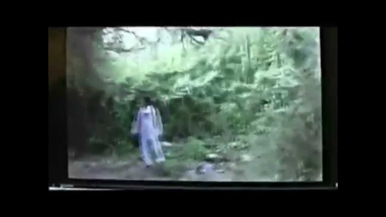Scary creature comes out of the bush in Mexico - YouTube