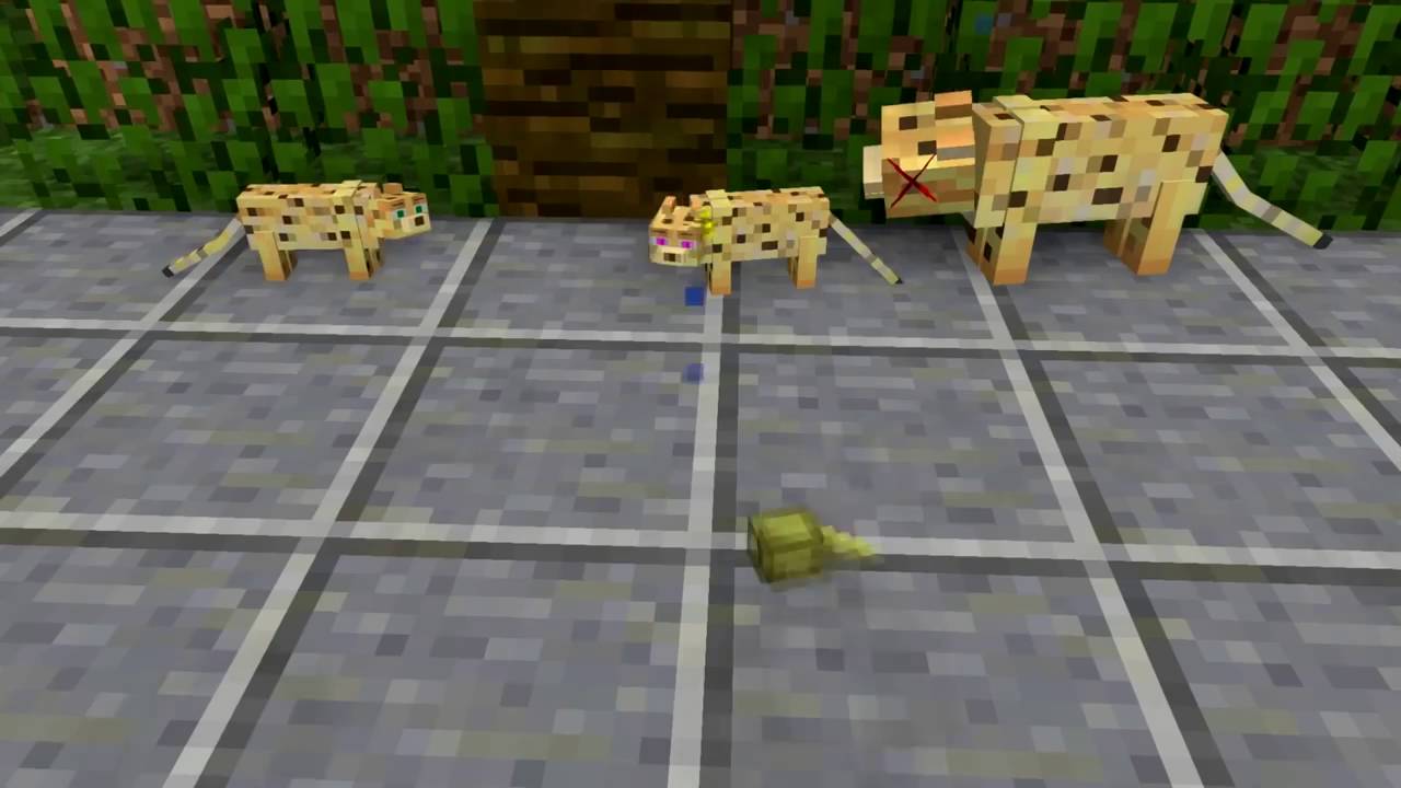 Ocelot Life Minecraft Animation #3 - YouTube