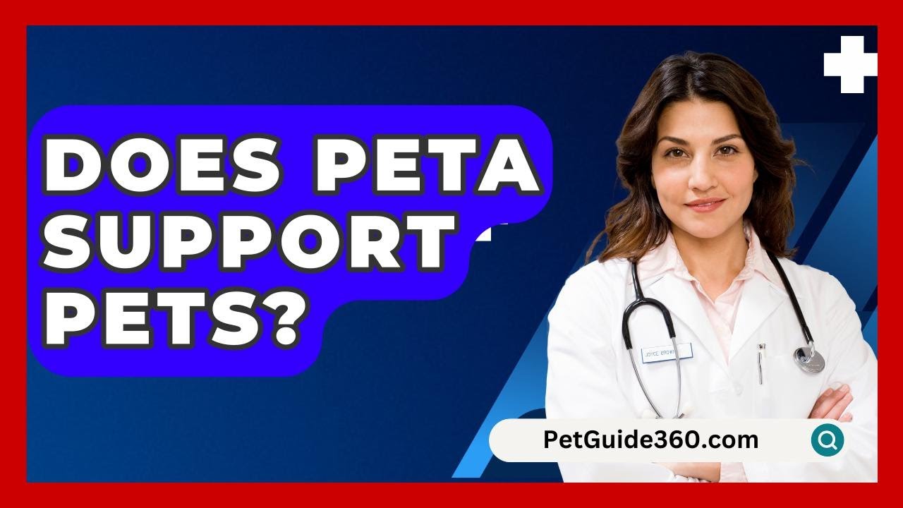 Does PETA Support Pets? - PetGuide360.com - YouTube
