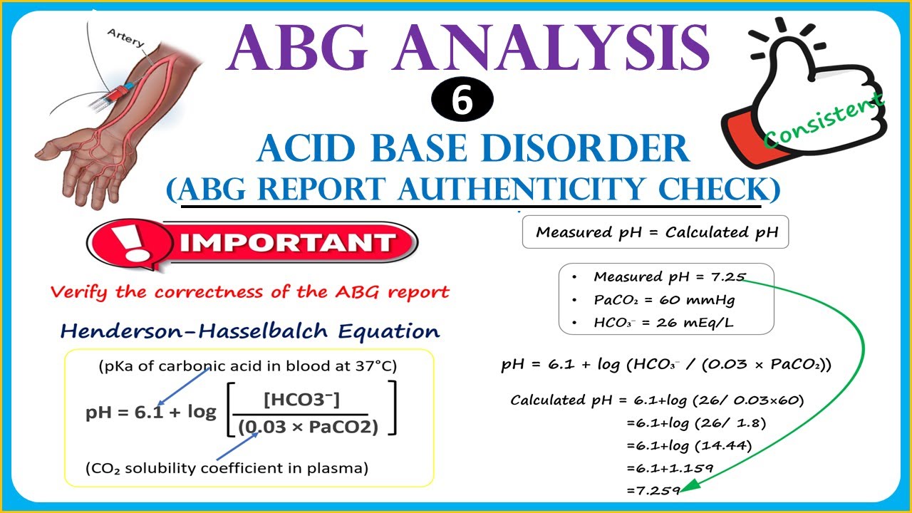 ABG analysis | Acid Base disorder| How to check the accuracy of the ABG ...