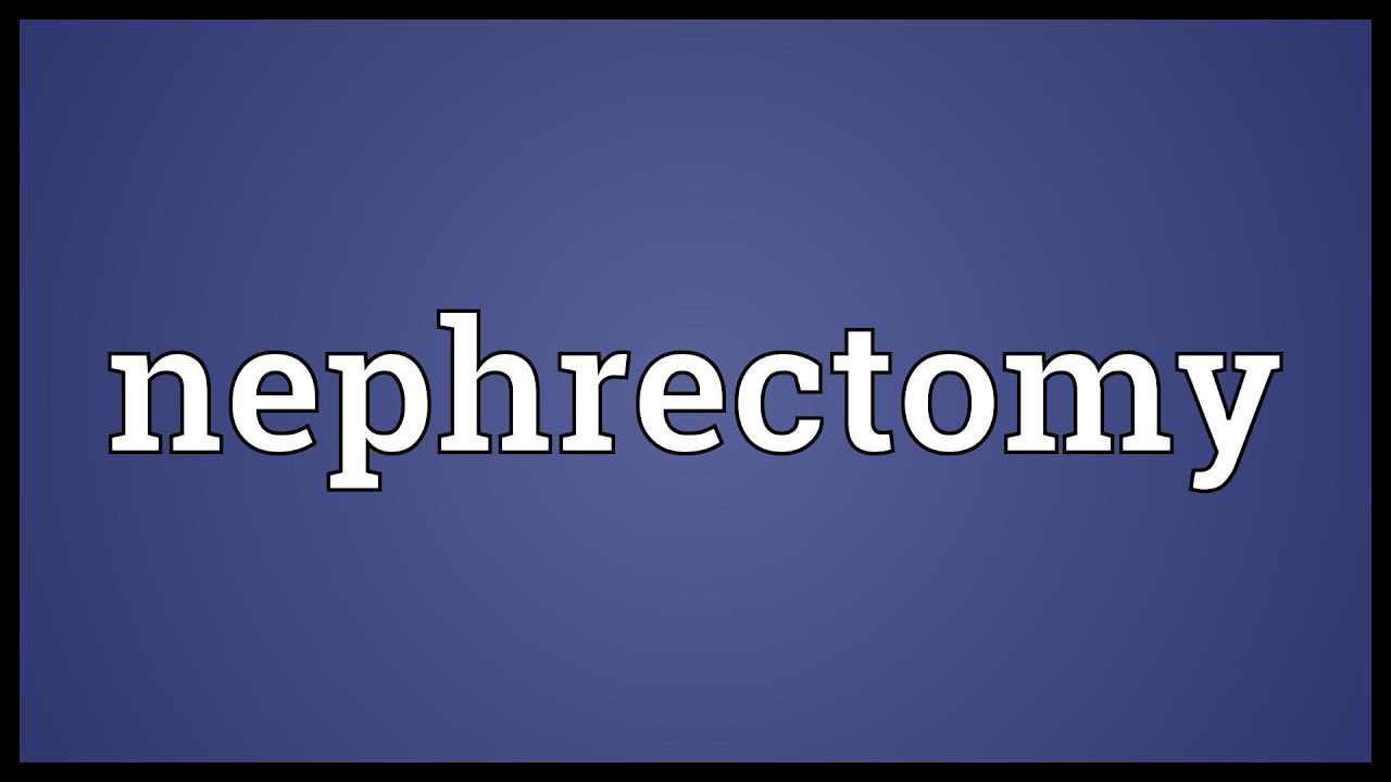 Nephrectomy Meaning - YouTube