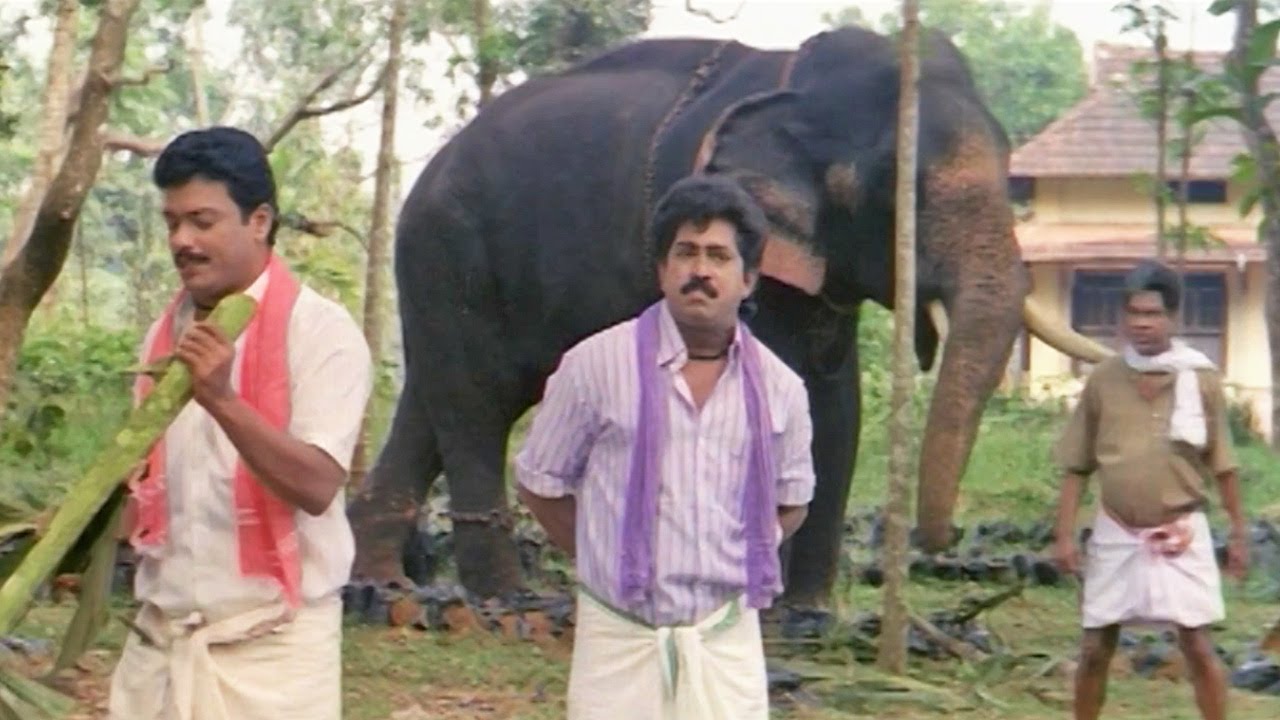 "ഈ വിവാഹം നടന്നില്ലെങ്കിൽ അങ്ങേരെയും കൊല്ലും നിന്നെയും കൊല്ലും ...