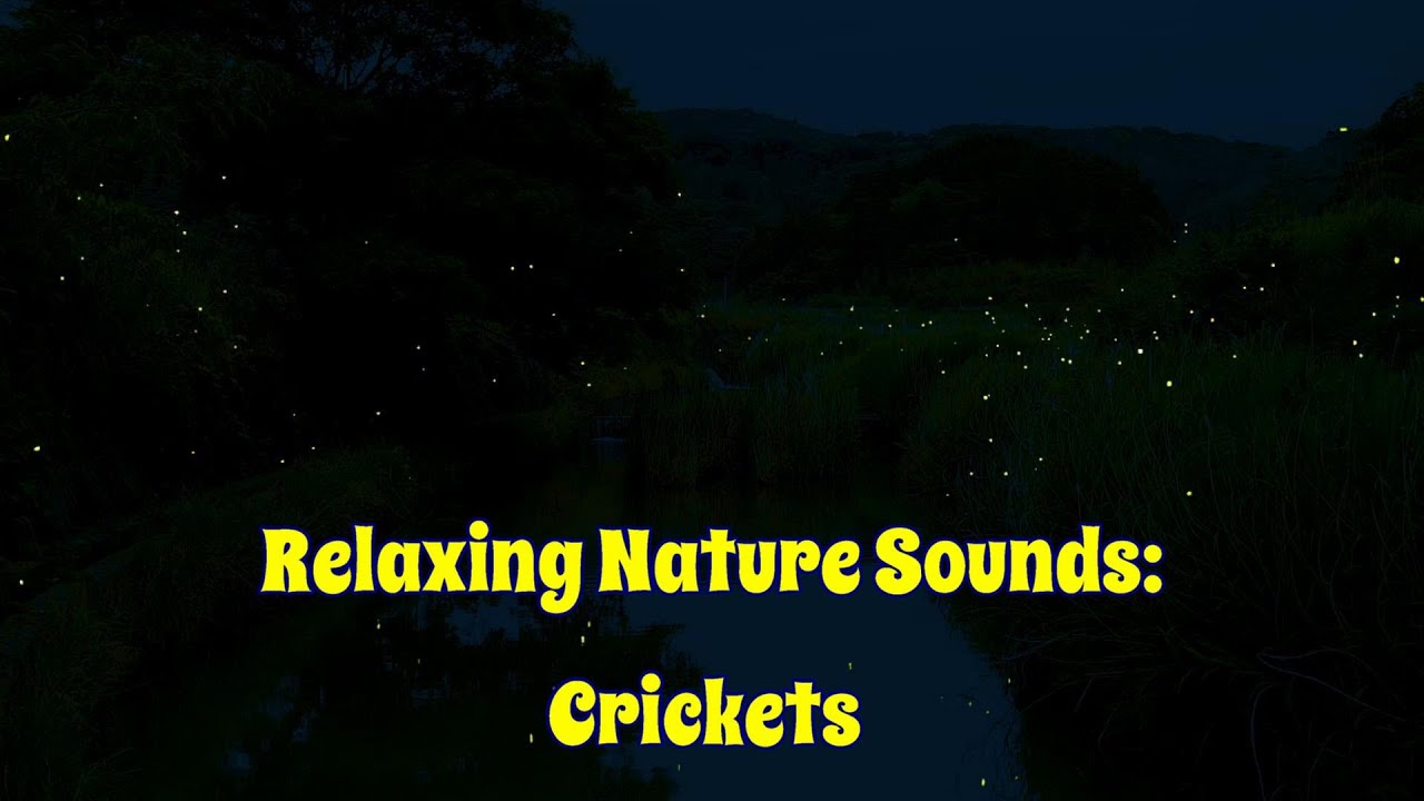 Crickets Chirping Relaxing Nature's Sounds Meditation; Sleep; White ...