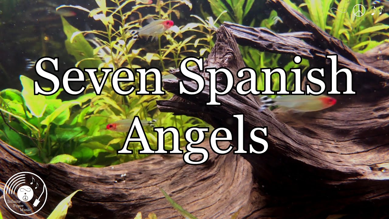 Seven Spanish Angels w/ lyrics - Ray Charles & Willie Nelson Version ...