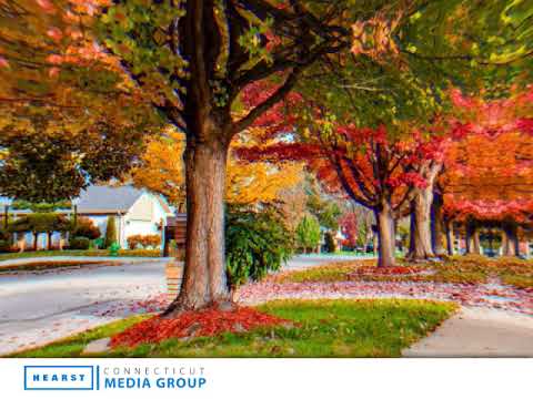 Shoreline Landscape Co Clinton CT 06413