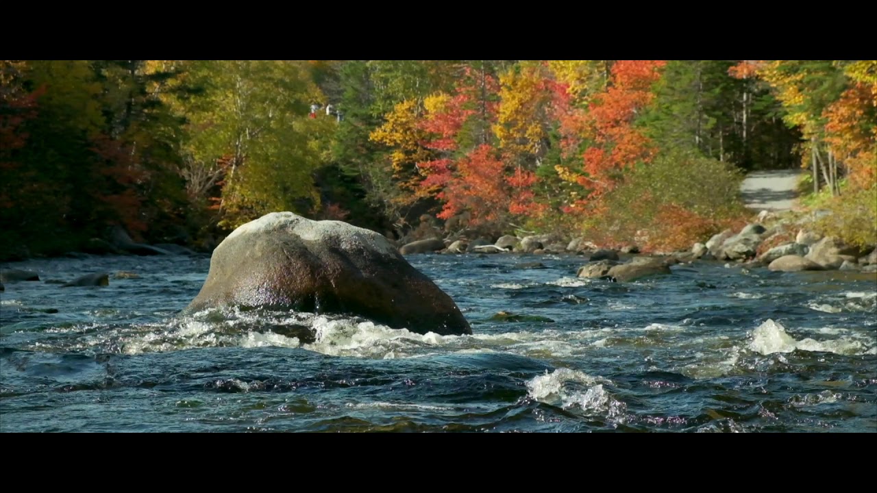 Corner Brook in Fall Colour - YouTube