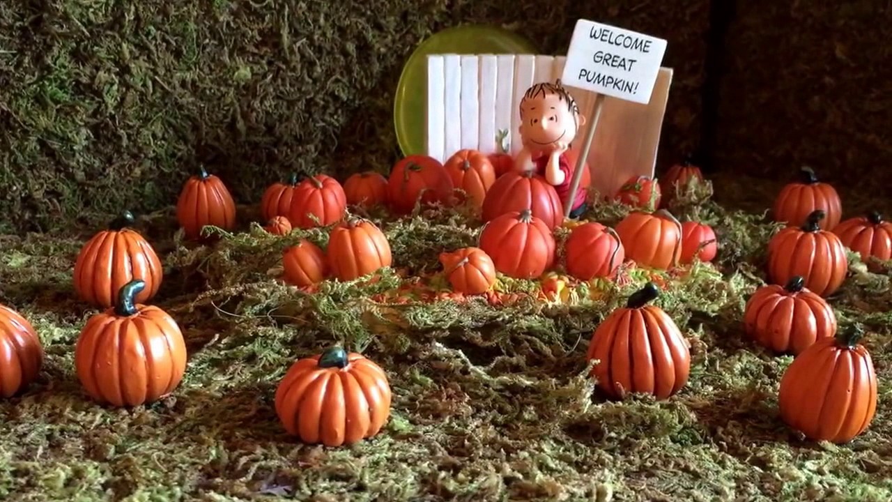 Peanuts Halloween Great Pumpkin Hallmark - YouTube