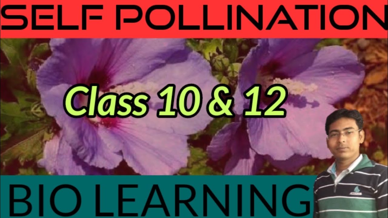 Self Pollination(স্বপরাগযোগ) || Class 10 & 12 || Part 10 || - YouTube