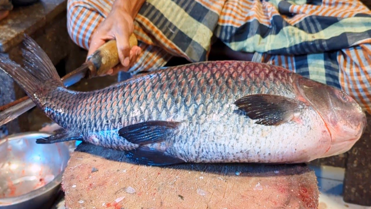 Giant Black Rohu Fish Cutting By Expert Fish Cutter| Bangladesh Fish ...