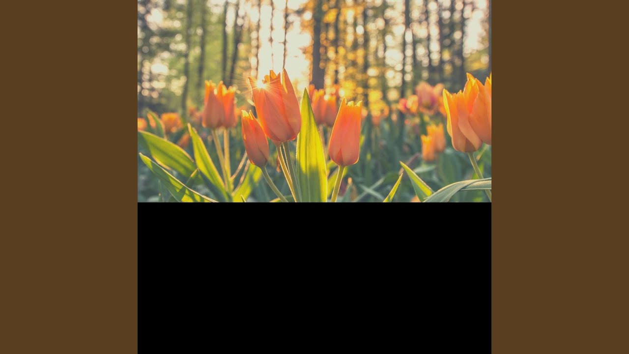 Refined Self Care Rtiuals - YouTube