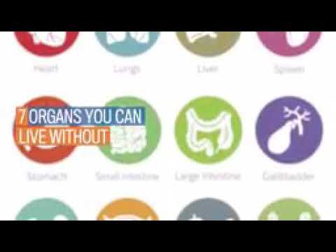 7 organs you can live without - YouTube