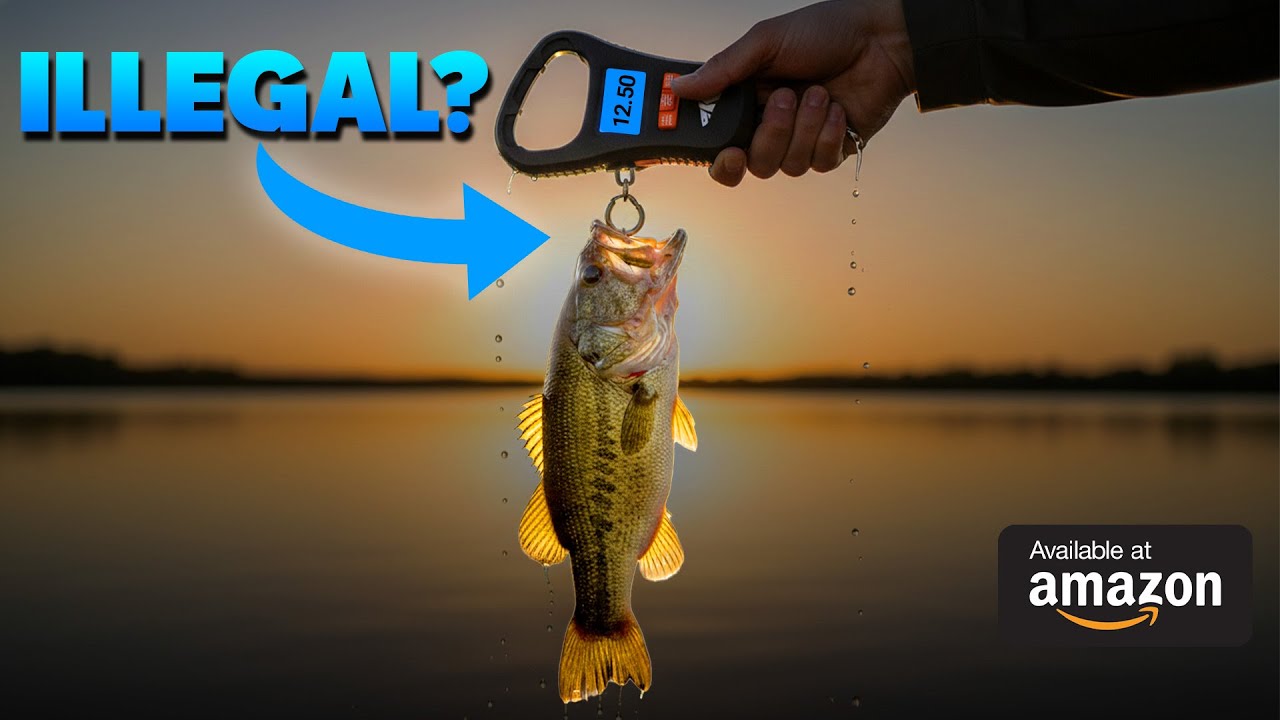 50 Genius Fishing Products On Amazon 2026 - YouTube