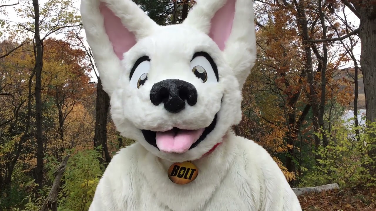 Bolt Remodified (FOR SALE) Disney Dog Canine Full Suit by Eternal Skyy ...