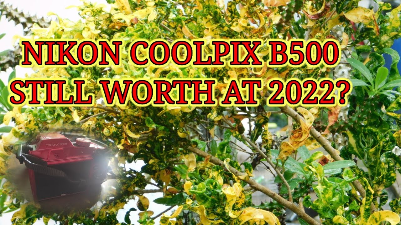 Nikon CoolPix B500 sample video&photo - YouTube