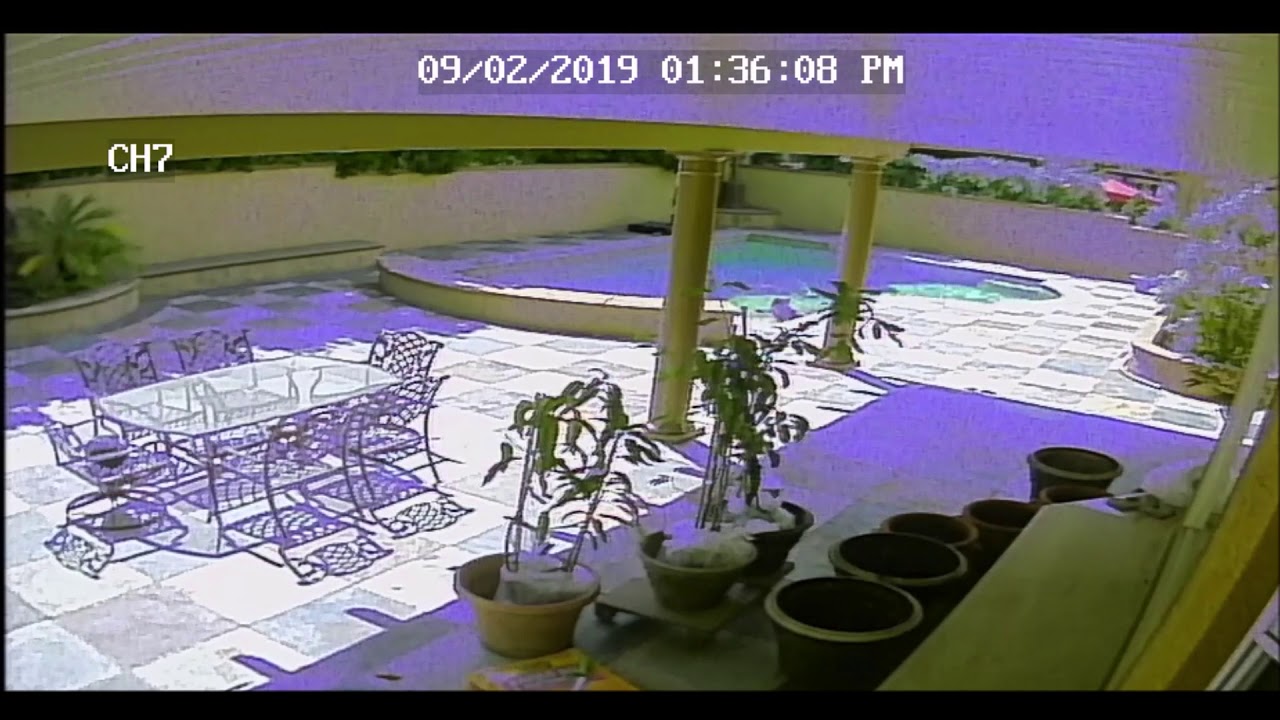 Star sightings - Ursa Major and Ursa Minors in our pool in La Verne ...