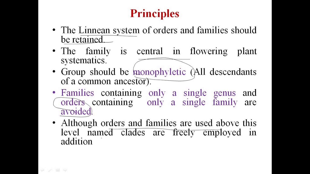 APG system of Classification - YouTube