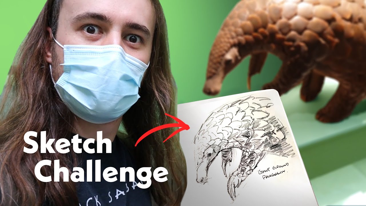 [Art Challenge] Draw Your Own Animal Species #JakesArtClub - YouTube