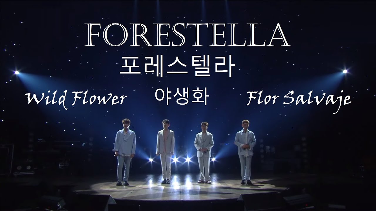 WILD FLOWER - Forestella - 포레스텔라 - Subtitulos Español – English ...