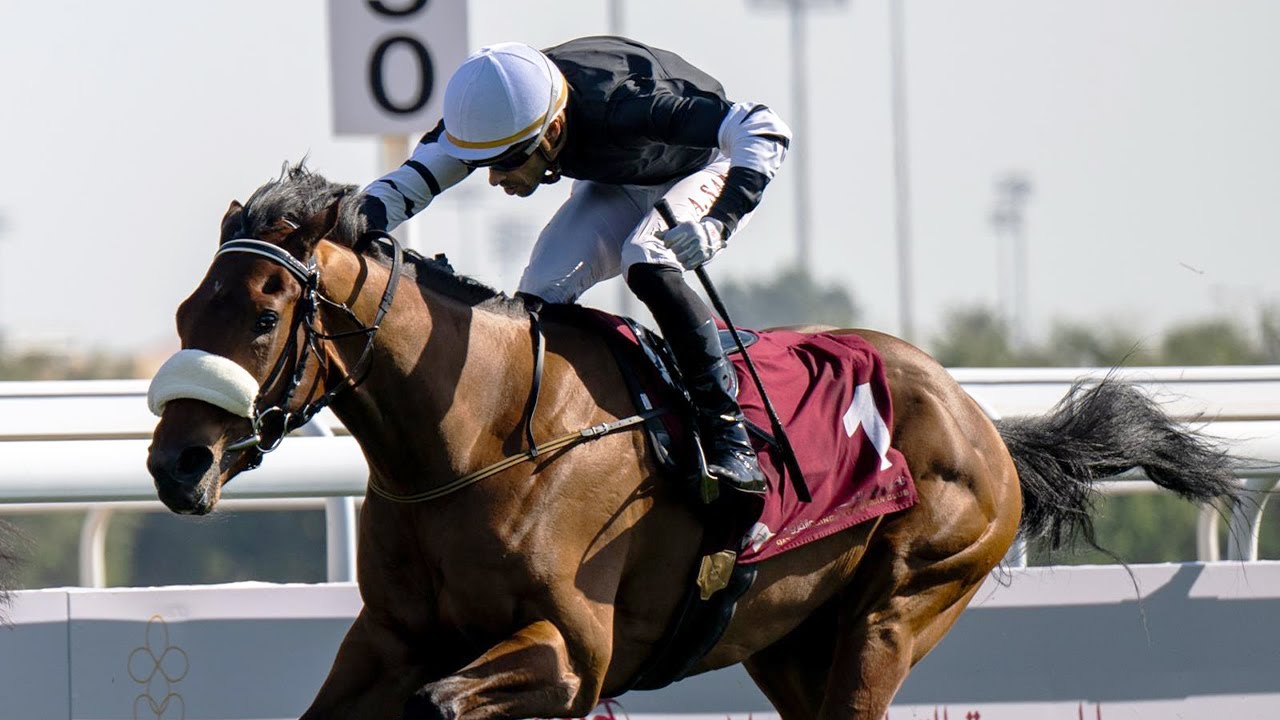 RM 38 Al Rayyan Race 4 - H.E. Sheikh Joaan Bin Hamad Al Thani Rifle ...
