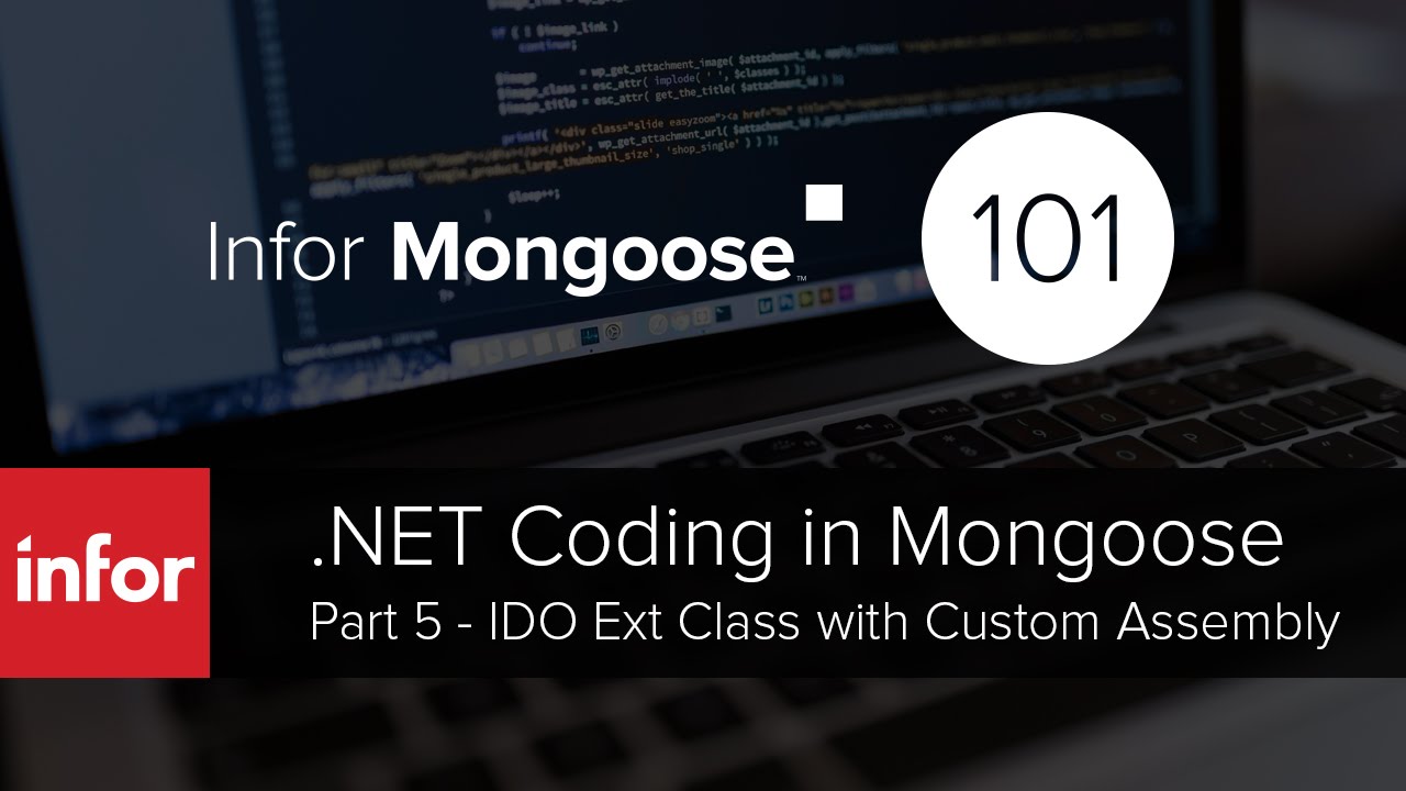 Infor Mongoose: .NET Coding Part 5 - Building an IDO Extension Class ...