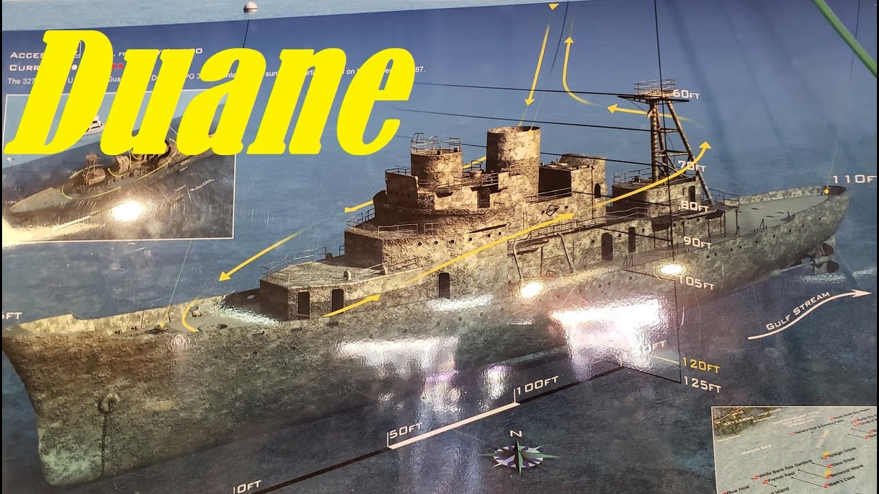 Diving the Duane Shipwreck | Key Largo, Florida! - YouTube