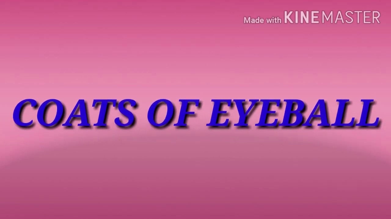 COATS OF EYEBALL || EYE PART || OPTOMETRY SHARP VISION - YouTube