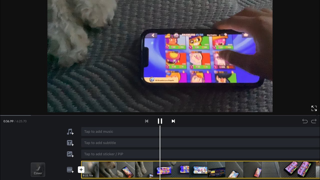 Teaching my dog how to play brawl stars… - YouTube