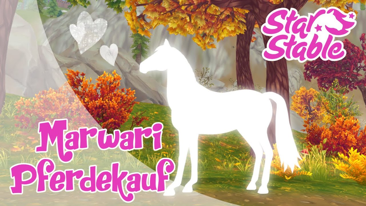 Star Stable [SSO] Pferdekauf - Der Marwari, die indische Schönheit ...
