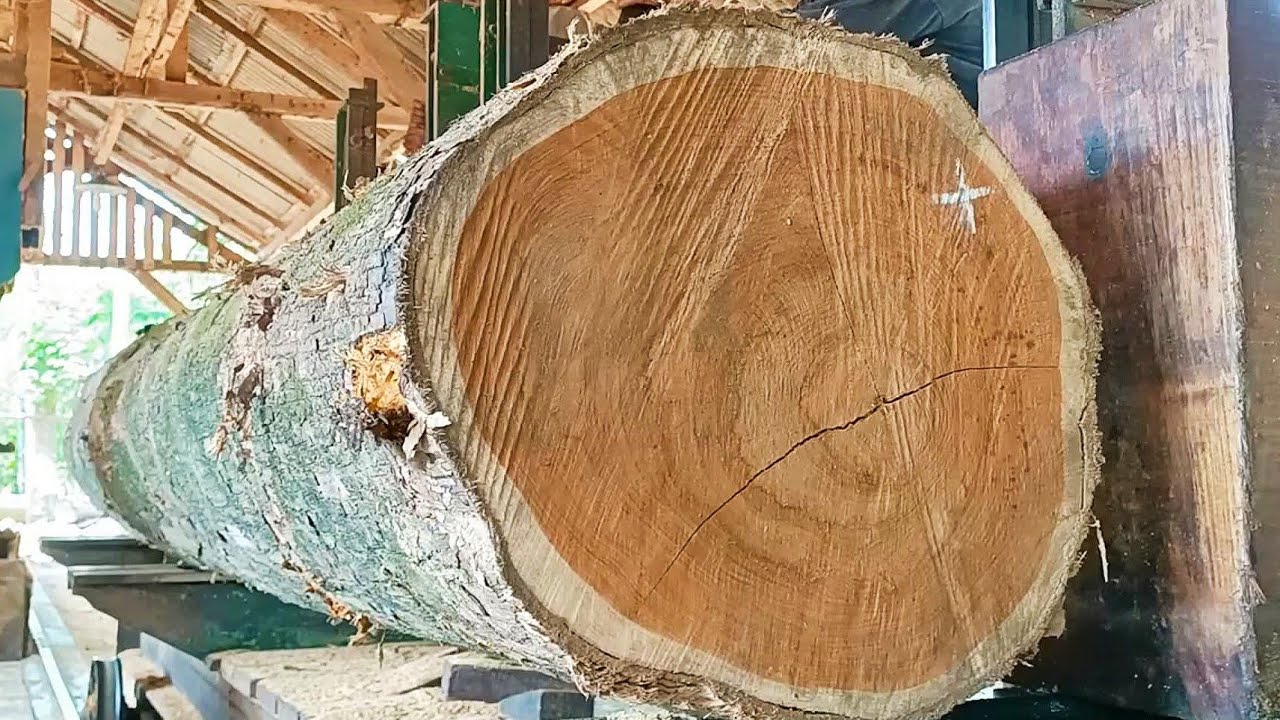 sawing jumbo teak logs into super full-fiber blocks 4.5 meters long ...