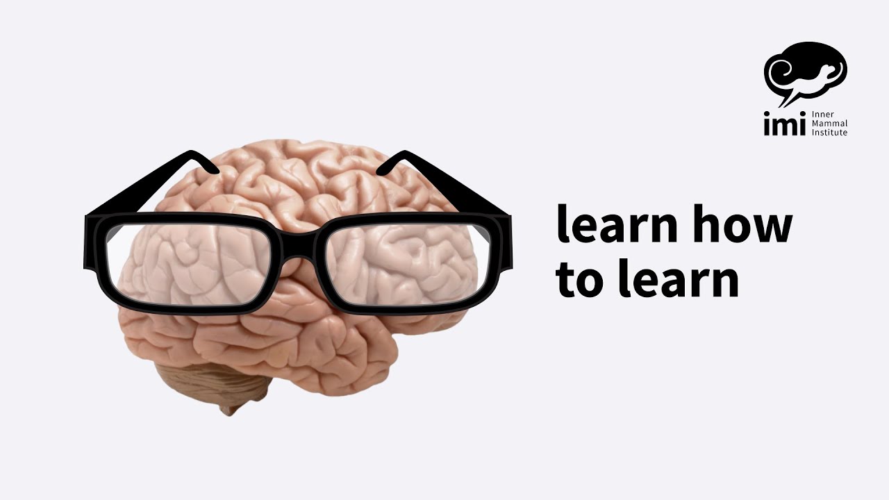 Learn How To Learn: The Growth Mindset - YouTube