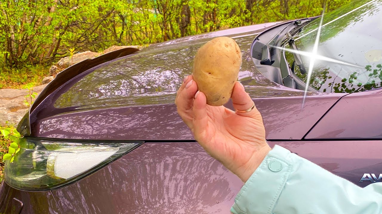 1 potato in the car can save your life, and no one told you about it ...