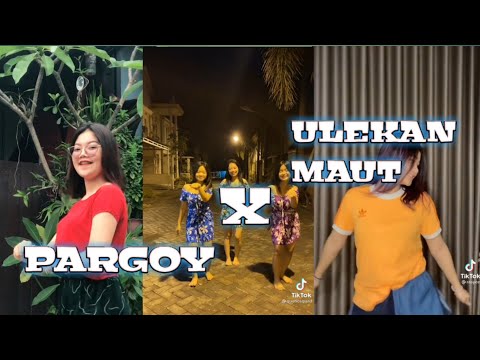 KUMPULAN TIKTOK PARGOY X ULEKAN MAUT