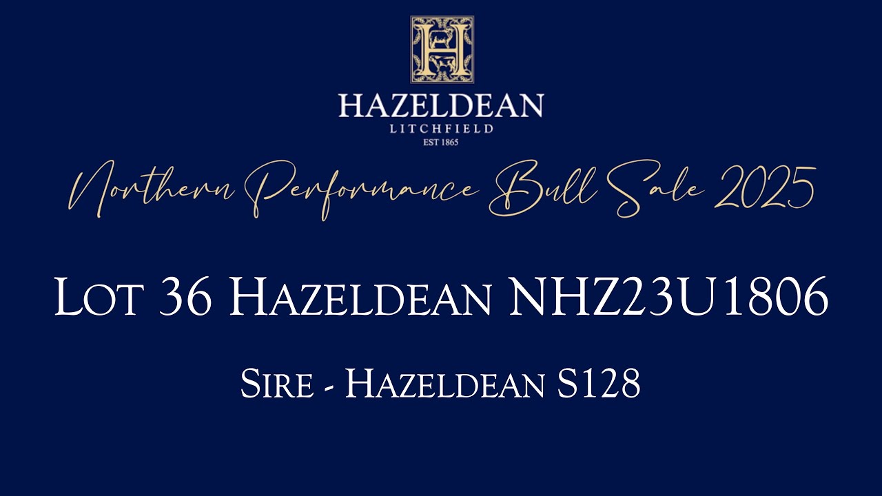 Lot 36 Hazeldean NHZ23U1806 - YouTube