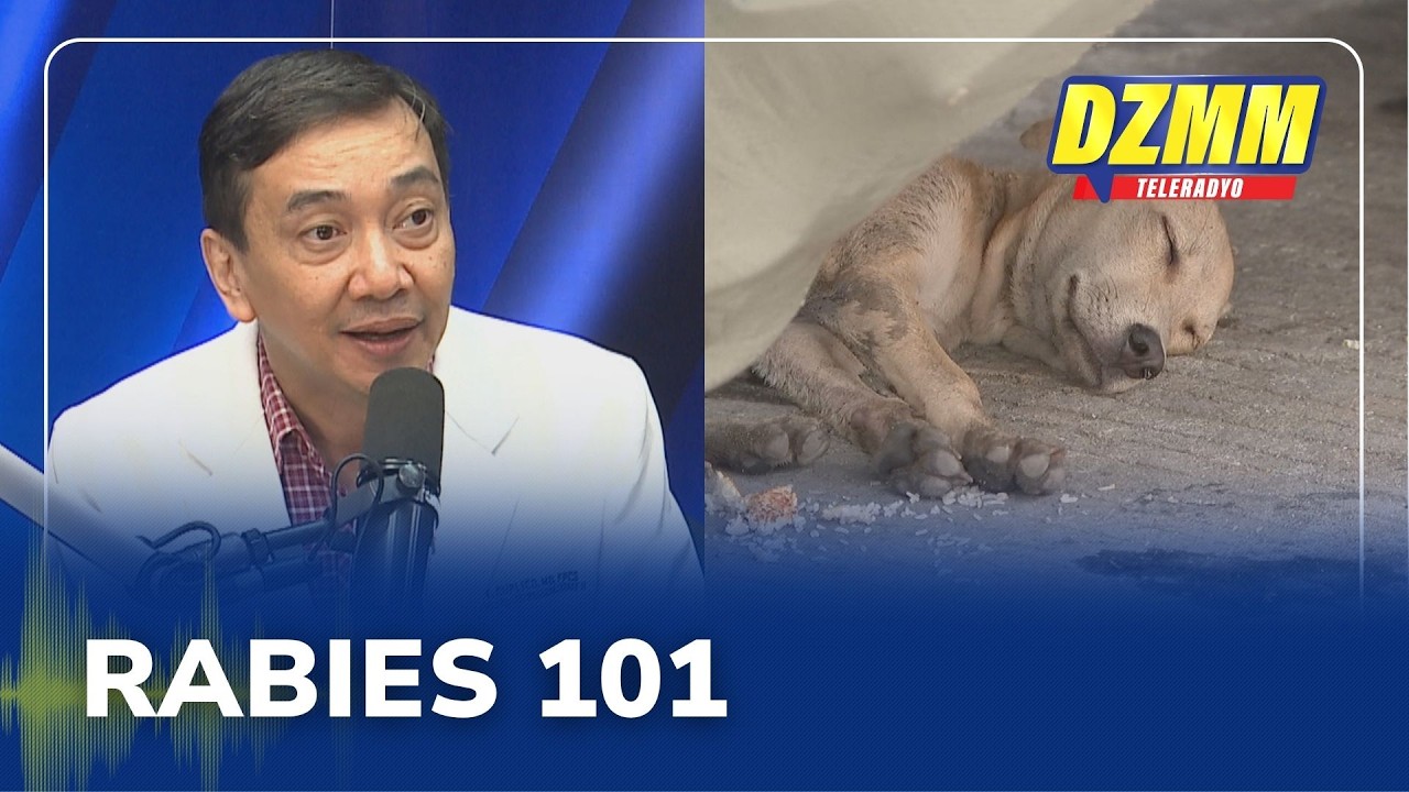 What’s up Doc? Rabies 101: signs, risks, safety tips | Iwas Sakit, Iwas ...