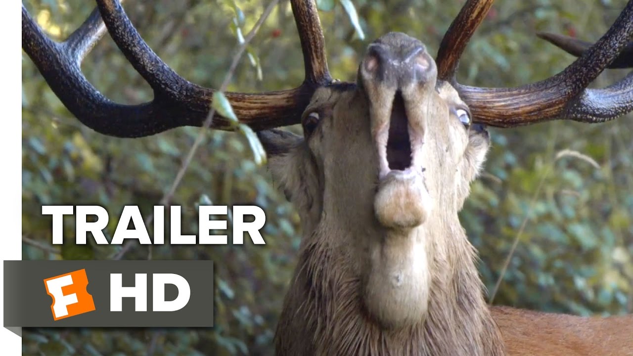 Seasons Official Trailer 1 (2016) - Documentary - YouTube