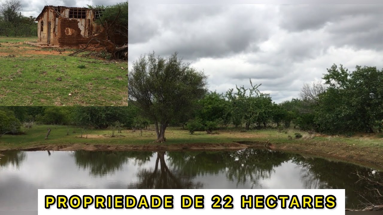Visitando Propriedade rural de 22 hectares já vendida - YouTube