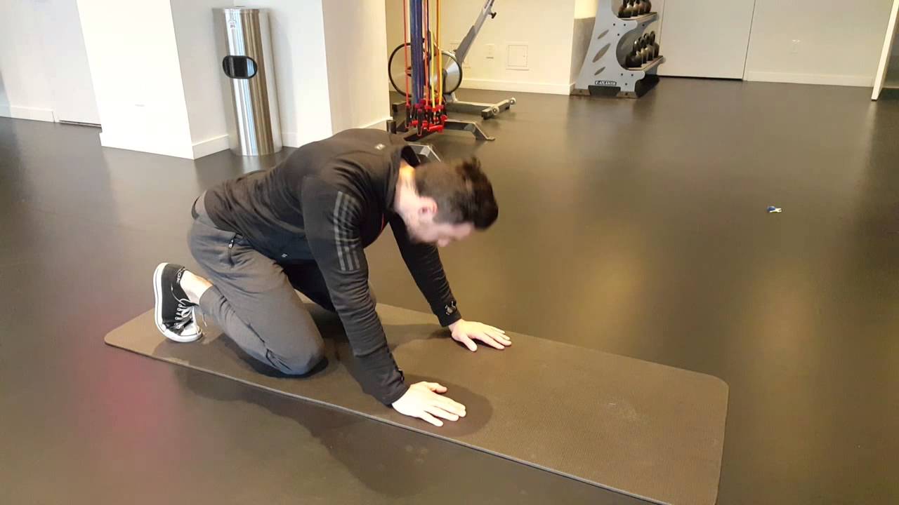 Quadruped Chin Tuck - YouTube