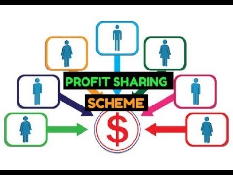 ACP Profit Sharing Scheme | 93% Profit Daily Guaranteed - YouTube