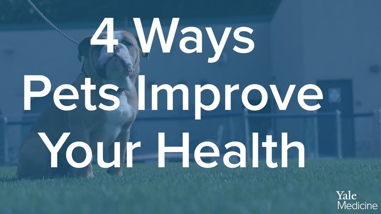 4 Ways Pets Can Improve Your Health - YouTube